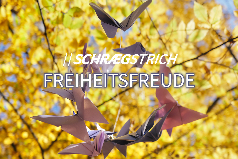 Neue Schraegstrich-Ausgabe 01/2025 | pro mente steiermark